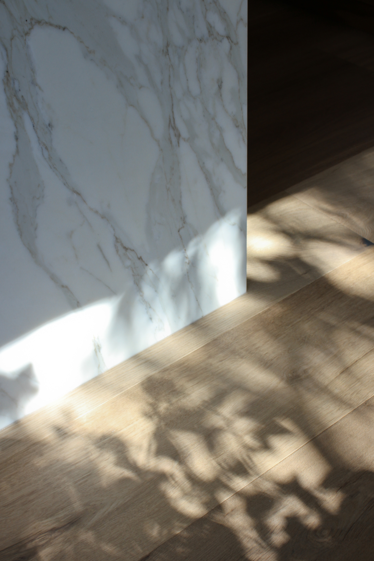 Shadow House | Builtworks